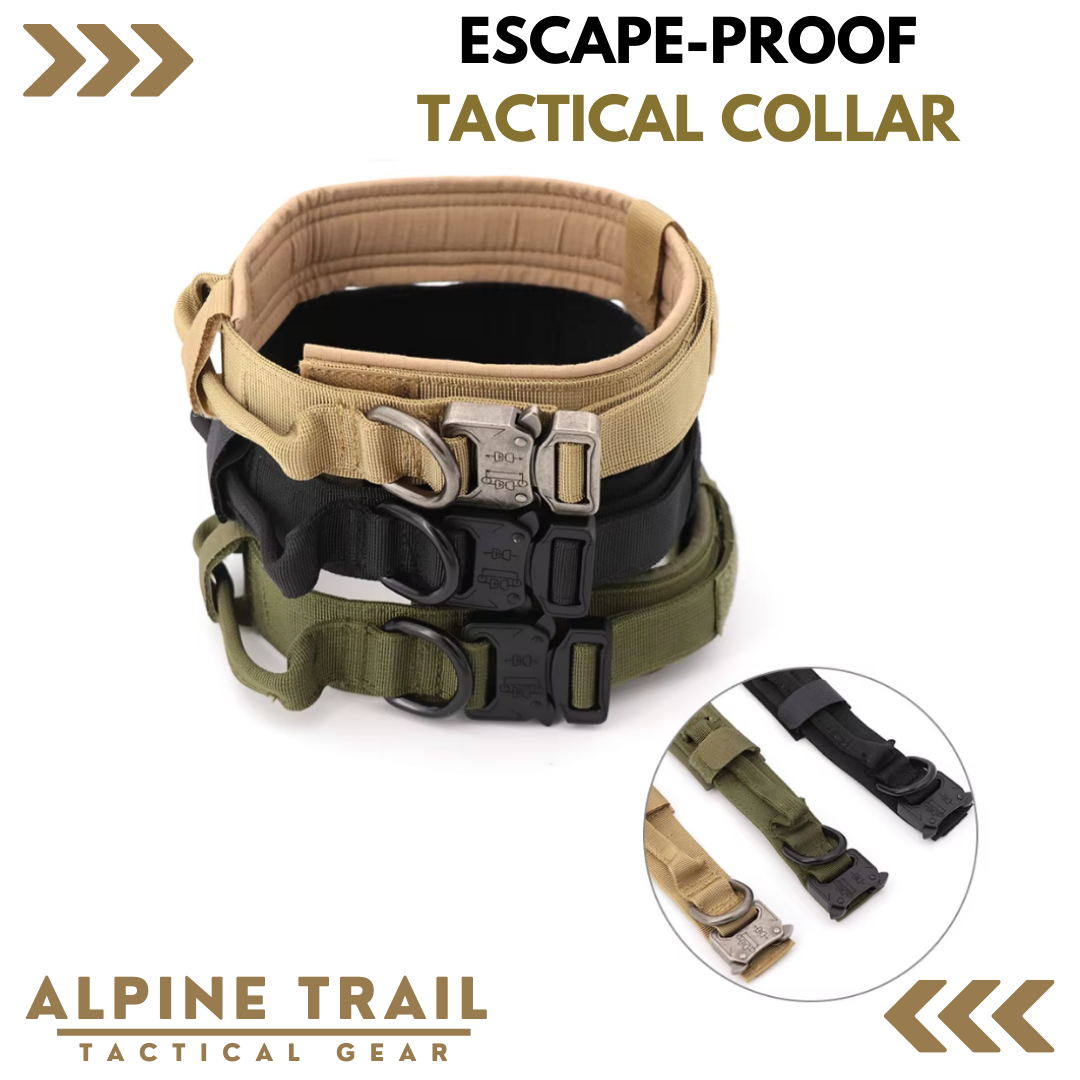 RANGER™ Reinforced Tactical Collar – Alpine Trail